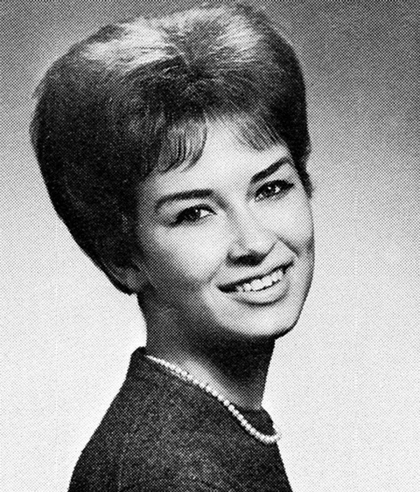 Do You Love Me, Do You Surfer Girl? | Becoming the Beach Boys - a ...